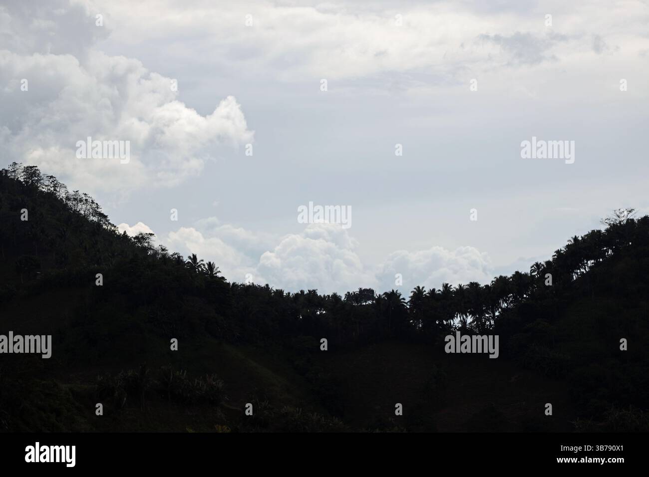 A silhouette of tropical rainforest atop a ridge in the Philippines ...