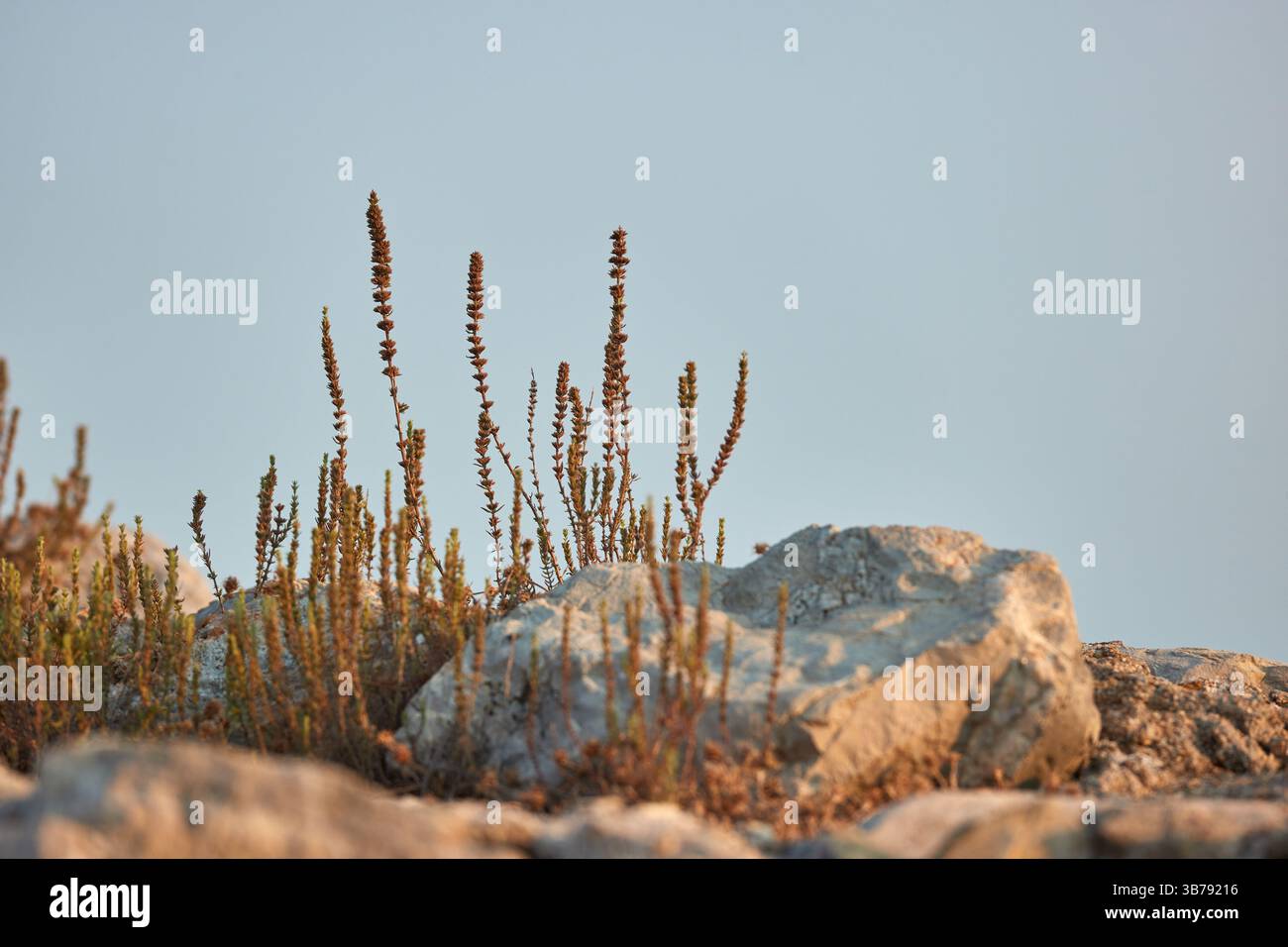 Grass on hill between hi-res stock photography and images - Alamy