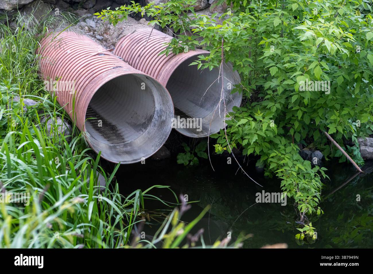 Concrete pipe of the rubble from which water flows into nature. Waste ...