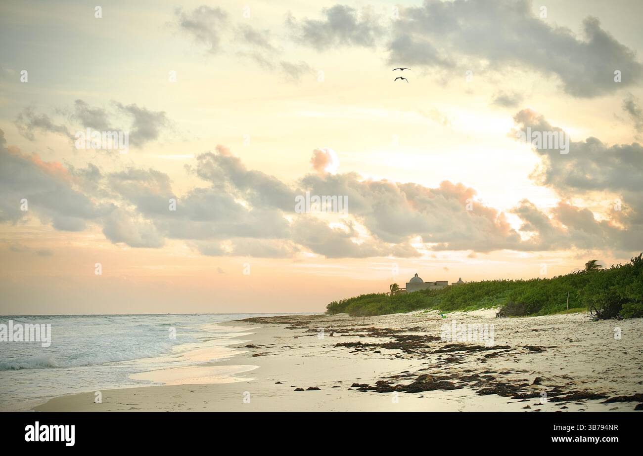 Mexico Beach Walk Stock Photo - Alamy