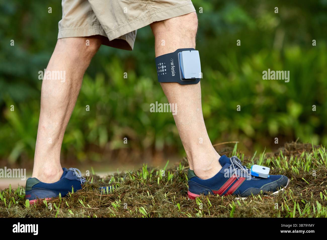 Mechanism, Gait neurorehabilitation device for people who suffer from ...