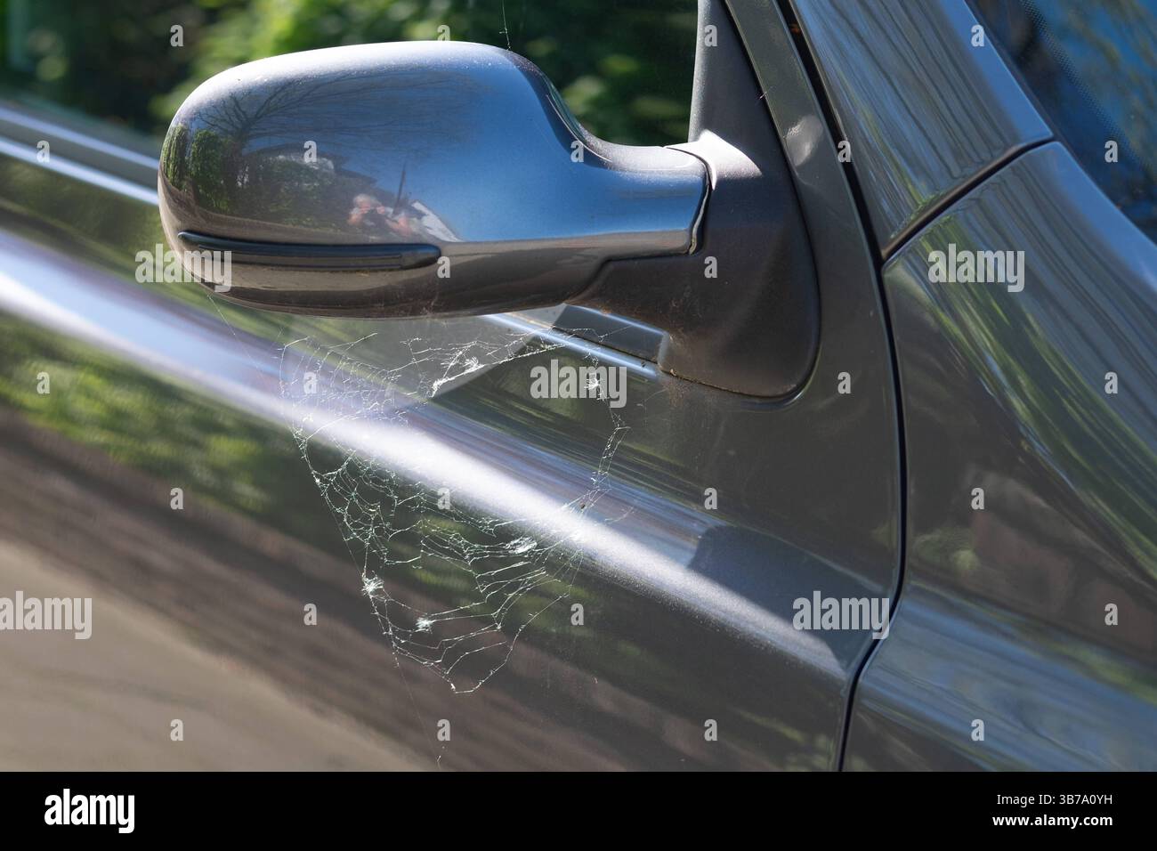 Spinnenweben an einem Autospiegel in Aachen am 26. April 2025. GERMANY ...