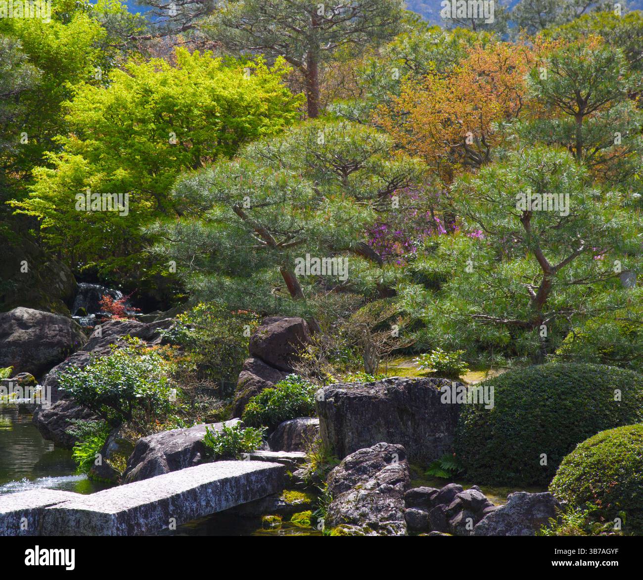 Japan, Matsue, Adachi Art Museum, garden Stock Photo - Alamy