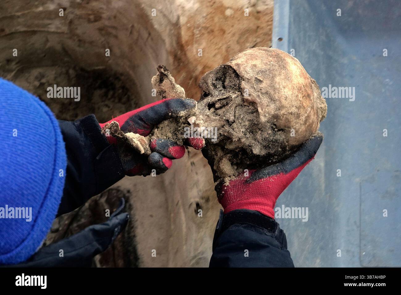 A worker of the German War Graves Commission holds a skull in his hands ...