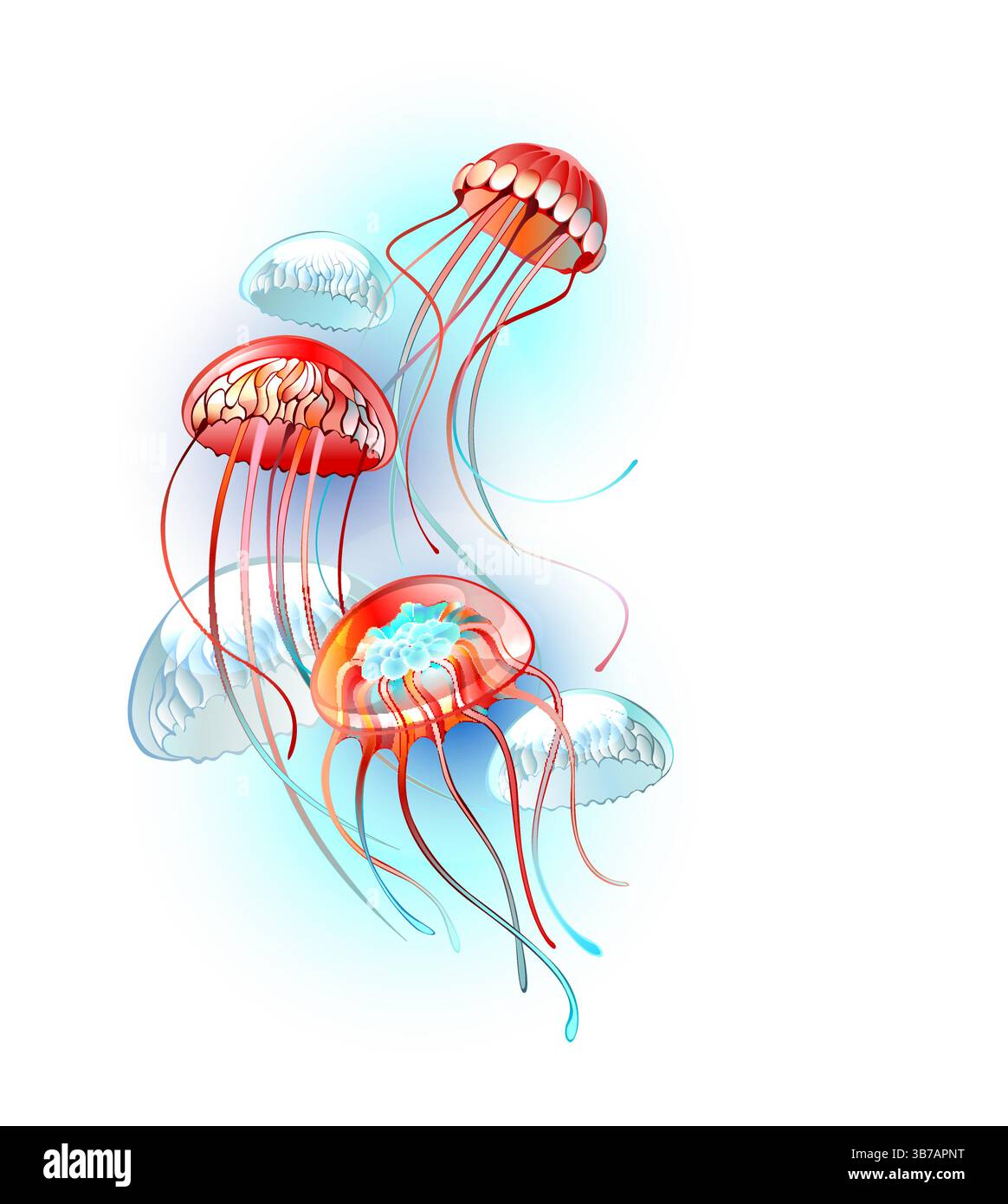 Three artistically drawn jellyfish with bright red coloring and long ...
