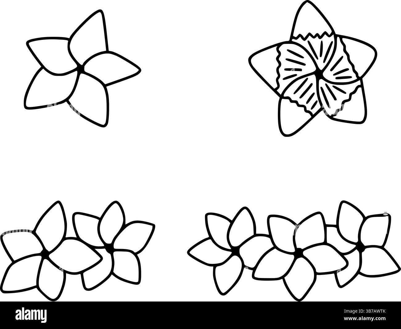 Frangipani silhouette set isolated on a transparent background ...