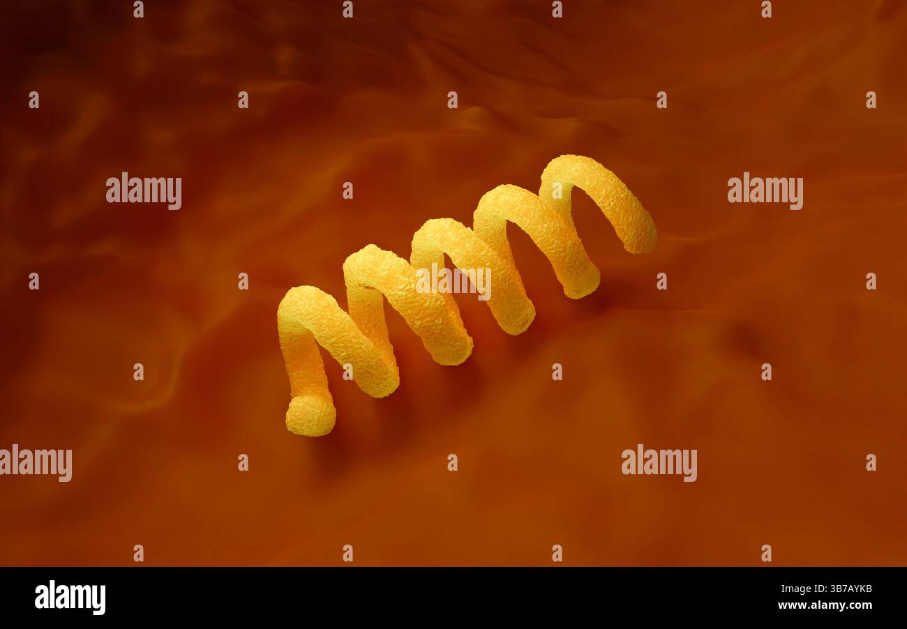 Treponema pallidum hi-res stock photography and images - Alamy