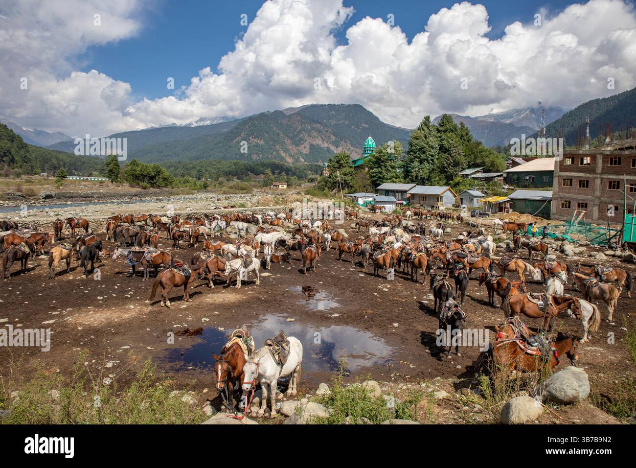 Pahalgam offers horse rides, including to popular destinations like ...