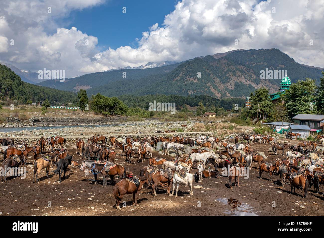 Pahalgam offers horse rides, including to popular destinations like ...