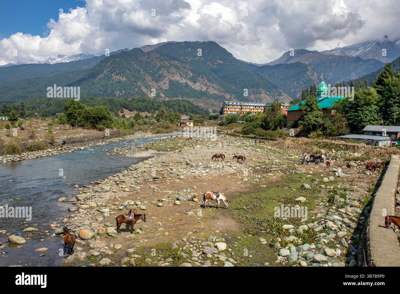 Pahalgam offers horse rides, including to popular destinations like ...