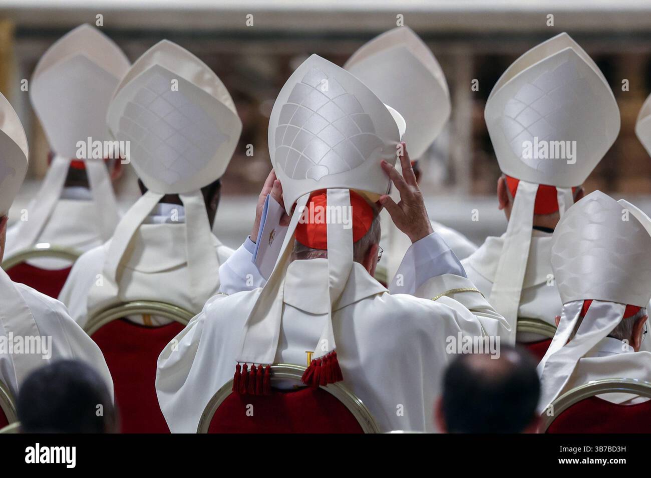 Seated Cardinals Wearing the Mitre. Cardinal Fernandez Artime presides ...