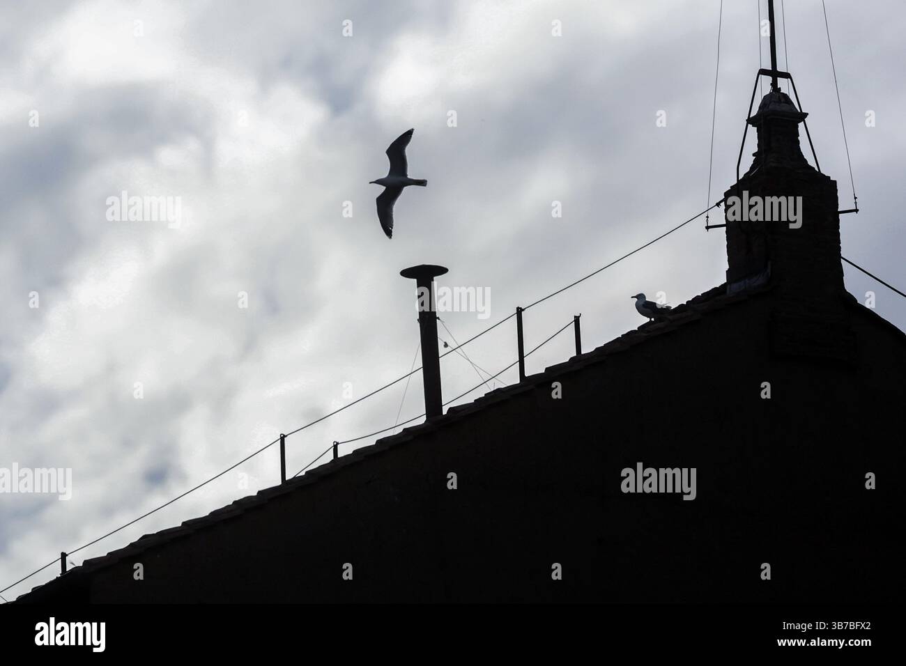 Rome, Italy. 28th Apr, 2025. The chimney mounted on the roof of the ...