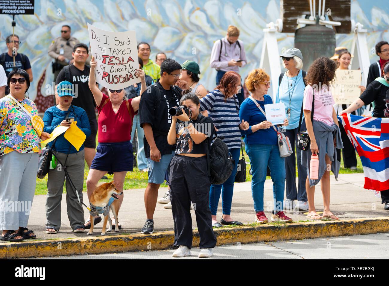 Crowd Descends on Hawaii State Capitol in Protest Against President ...