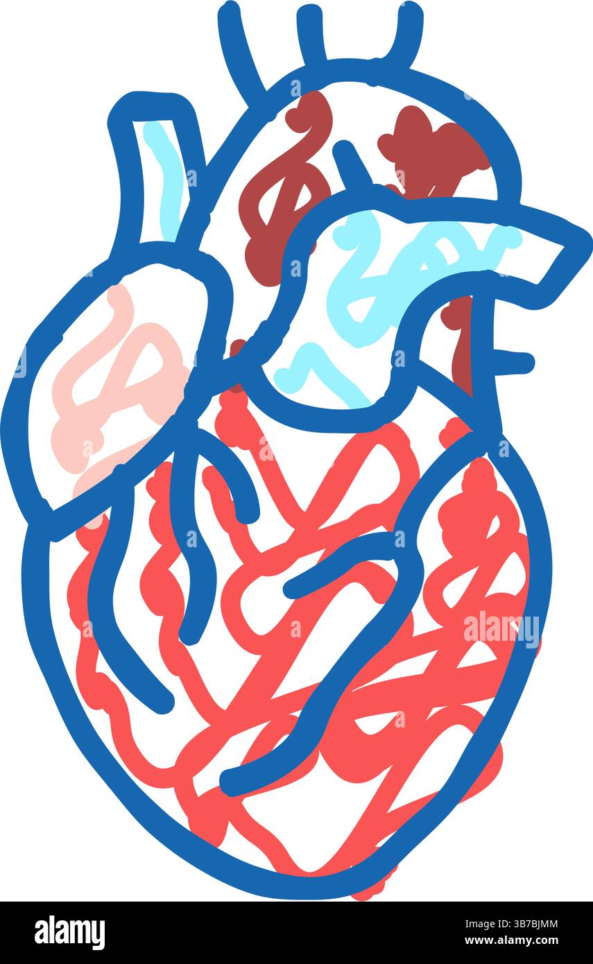 Anatomical brain heart hand Cut Out Stock Images & Pictures - Alamy