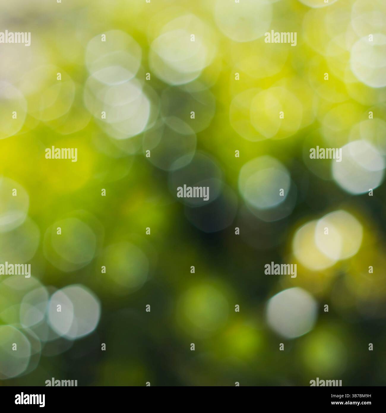 Green natural background ray hi-res stock photography and images - Alamy
