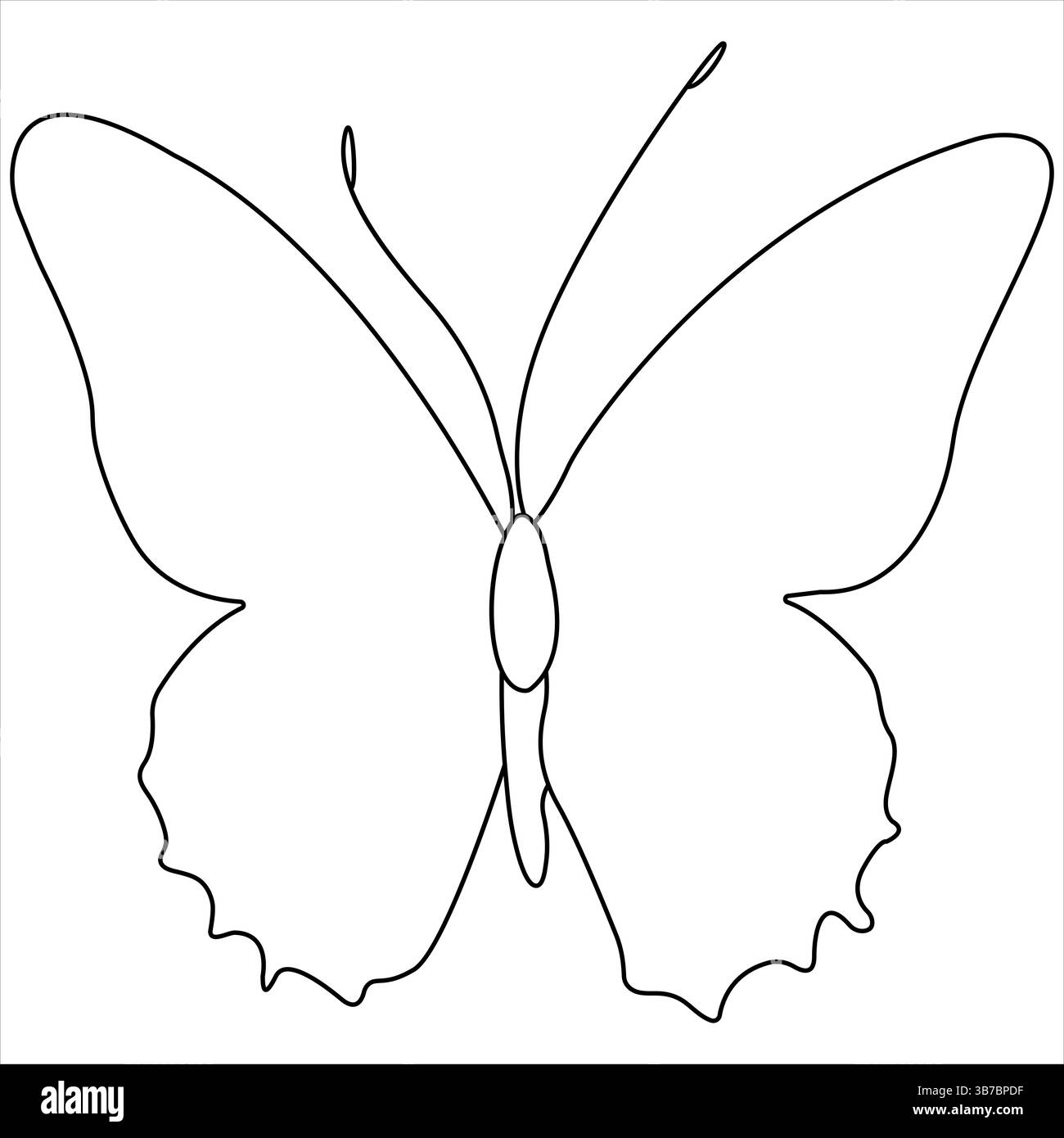 Butterfly line drawing Black and White Stock Photos & Images - Alamy