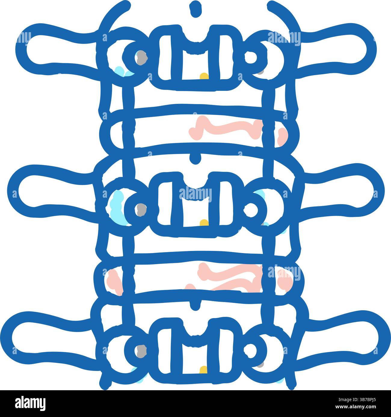 spinal fusion icon doodle illustration Stock Vector Image & Art - Alamy