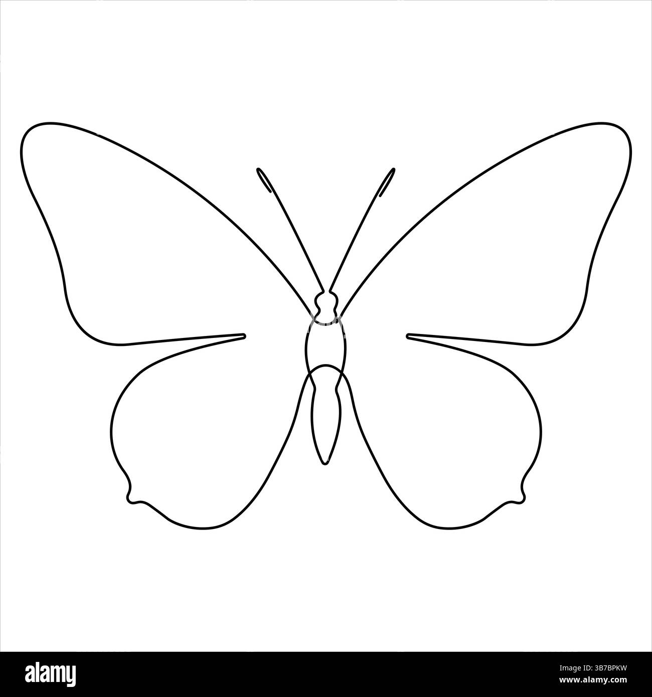 Butterfly line drawing Black and White Stock Photos & Images - Alamy