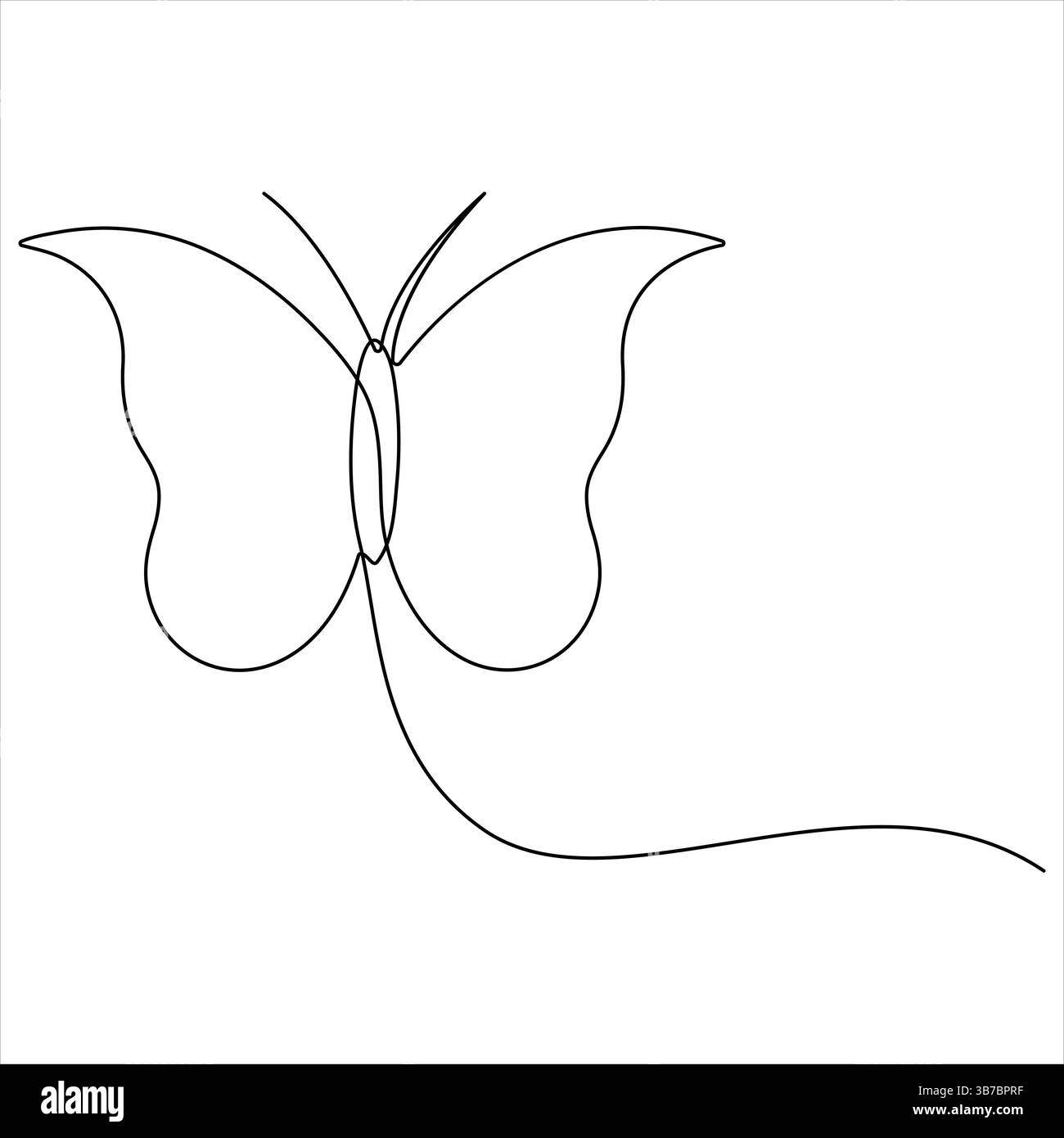 Butterfly line drawing Black and White Stock Photos & Images - Alamy