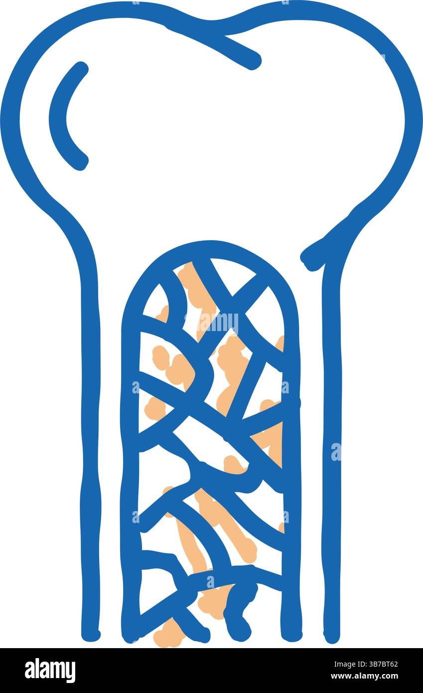 bone marrow icon doodle illustration Stock Vector Image & Art - Alamy