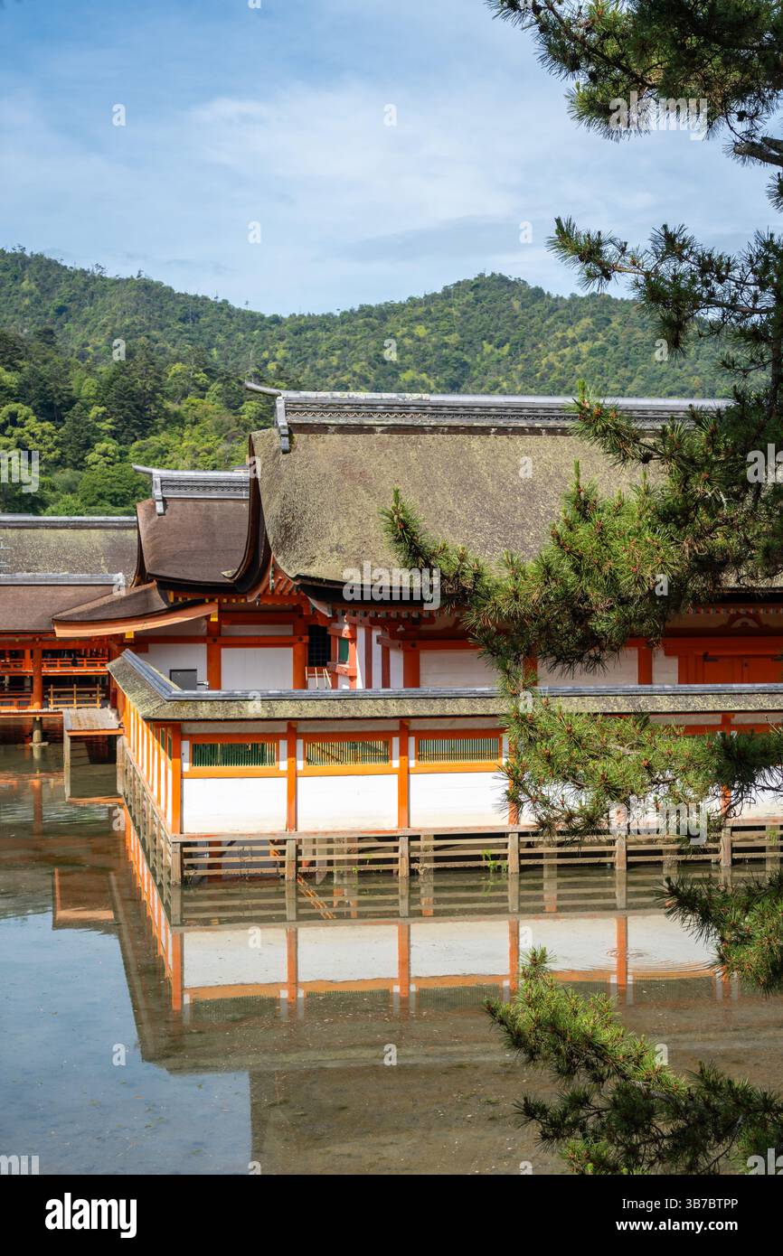 Traditional wooden buildings of Itsukushima shrine, a historic Shinto ...