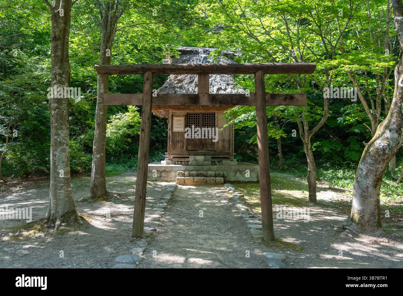 A peaceful path leads to a traditional wooden shrine with a rustic ...