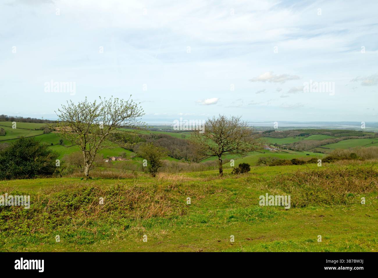 View from Cothelstone Hill towards the Bristol Channel and Hinkley ...