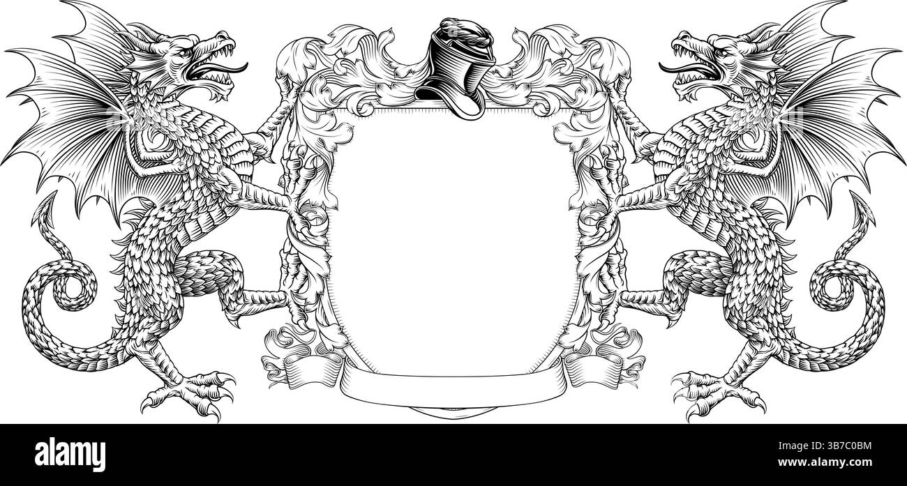 Dragon Coat of Arms Crest Heraldic Knight Shield Stock Vector Image ...
