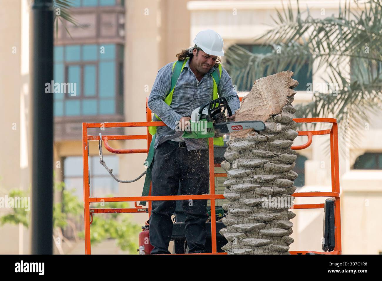 Worker in reflective green vest and white helmet cuts down a palm tree ...