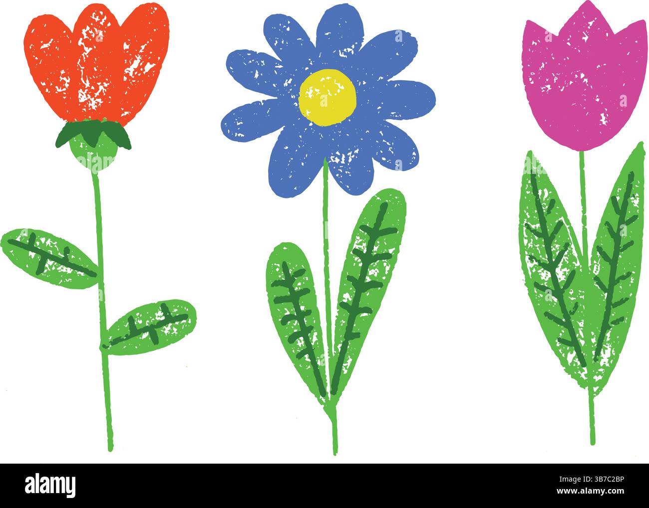 Crayon flowers vector illustration. Pastel and colored pencil hand ...