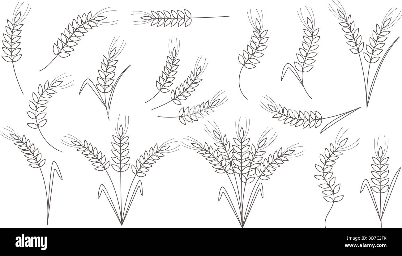 Thin line icons of cereal ears. Collection of wheat, rye, barley, oat ...