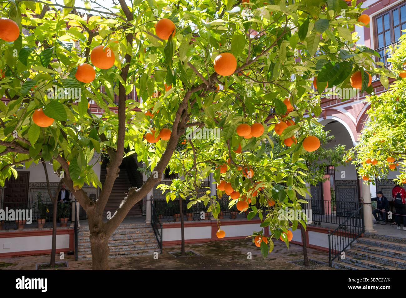 Hospital de los Venerables Seville Spain Stock Photo - Alamy