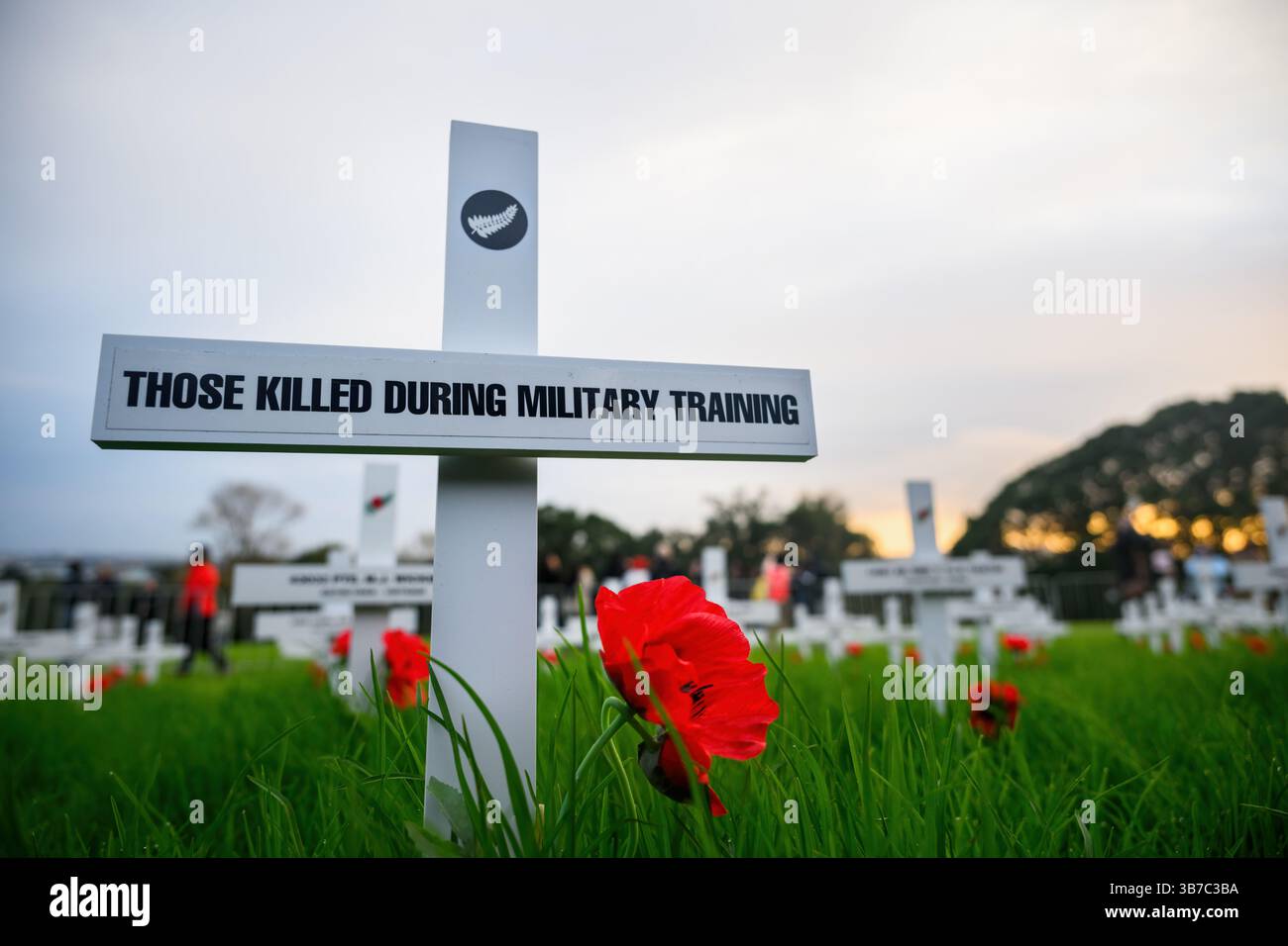 Auckland, New Zealand – April 25 2025: “Those Killed During Military ...