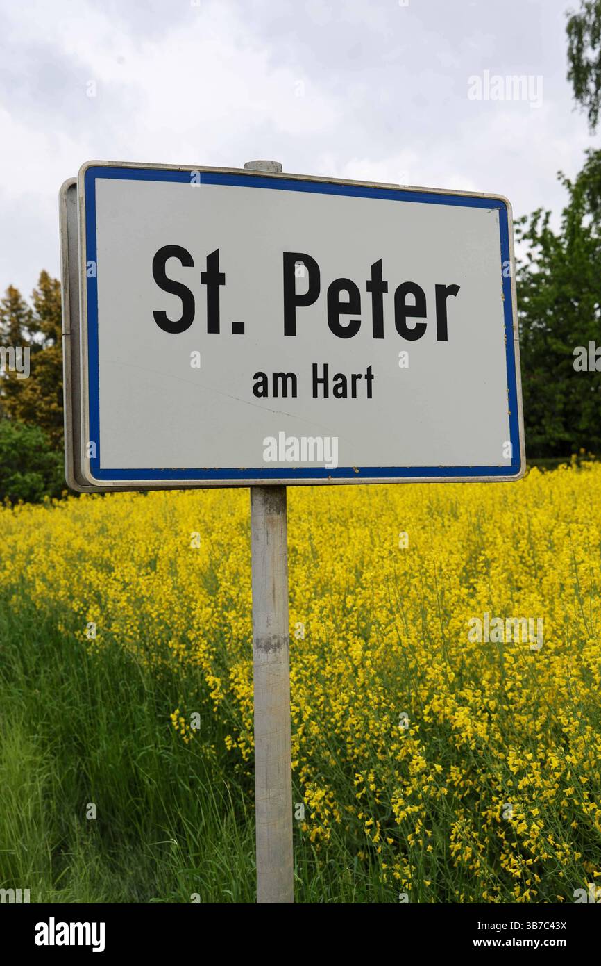 06.05.2025, Sankt Peter am HART, AUT, Unterwegs in Oberösterreich ...