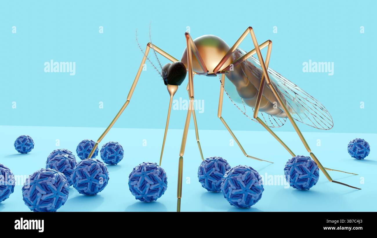 A 3d rendering of mosquito surrounded by several dengue virus particles ...