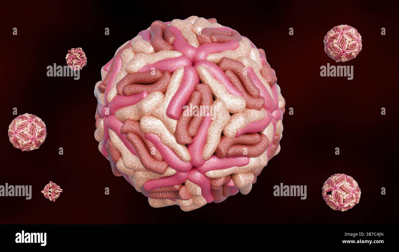 A 3D rendering of spherical dengue virus particles, with intricate ...