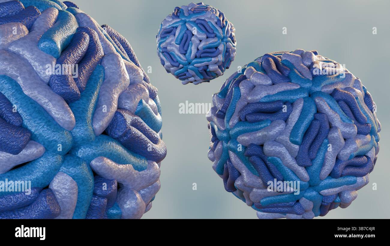 A 3D rendering of spherical dengue virus particles, with intricate ...