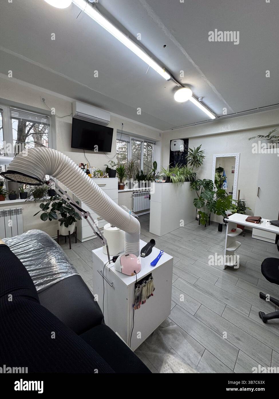 Modern cozy nail salon interior with air ventilation and lush green ...