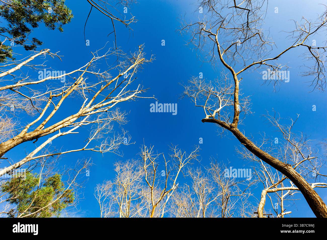 Bottom view daytime old abstract hi-res stock photography and images ...