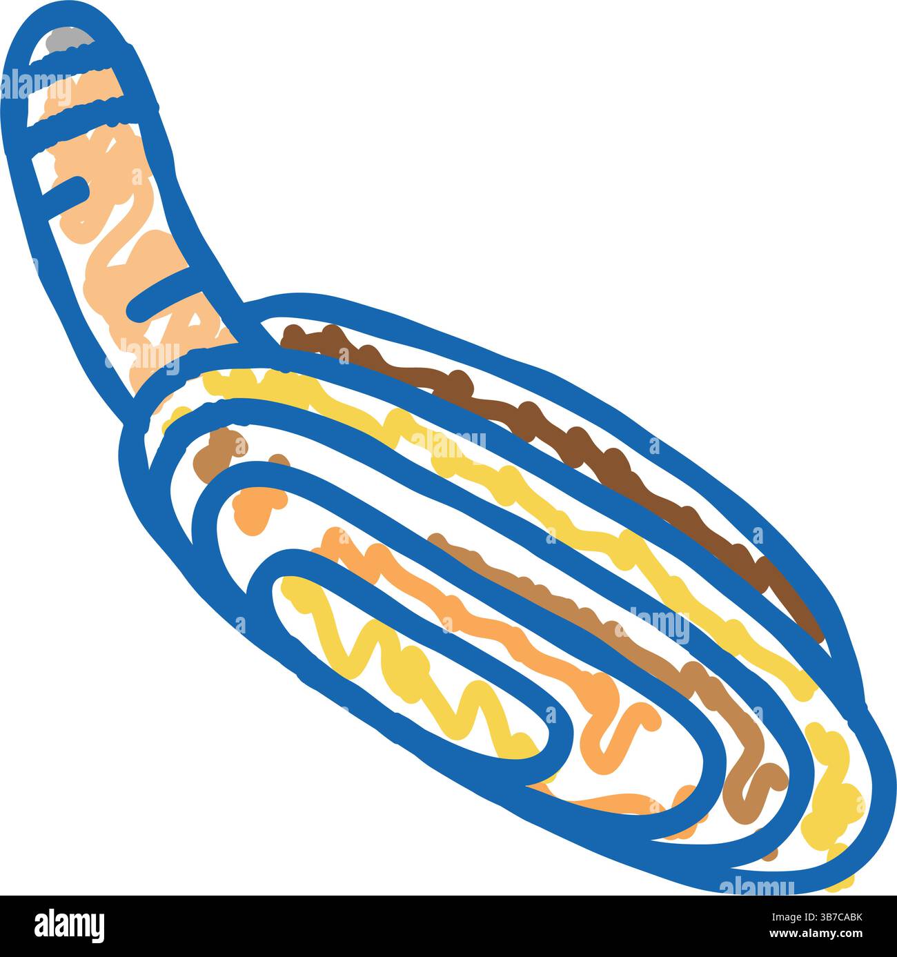 pacific razor clam icon doodle illustration Stock Vector Image & Art ...