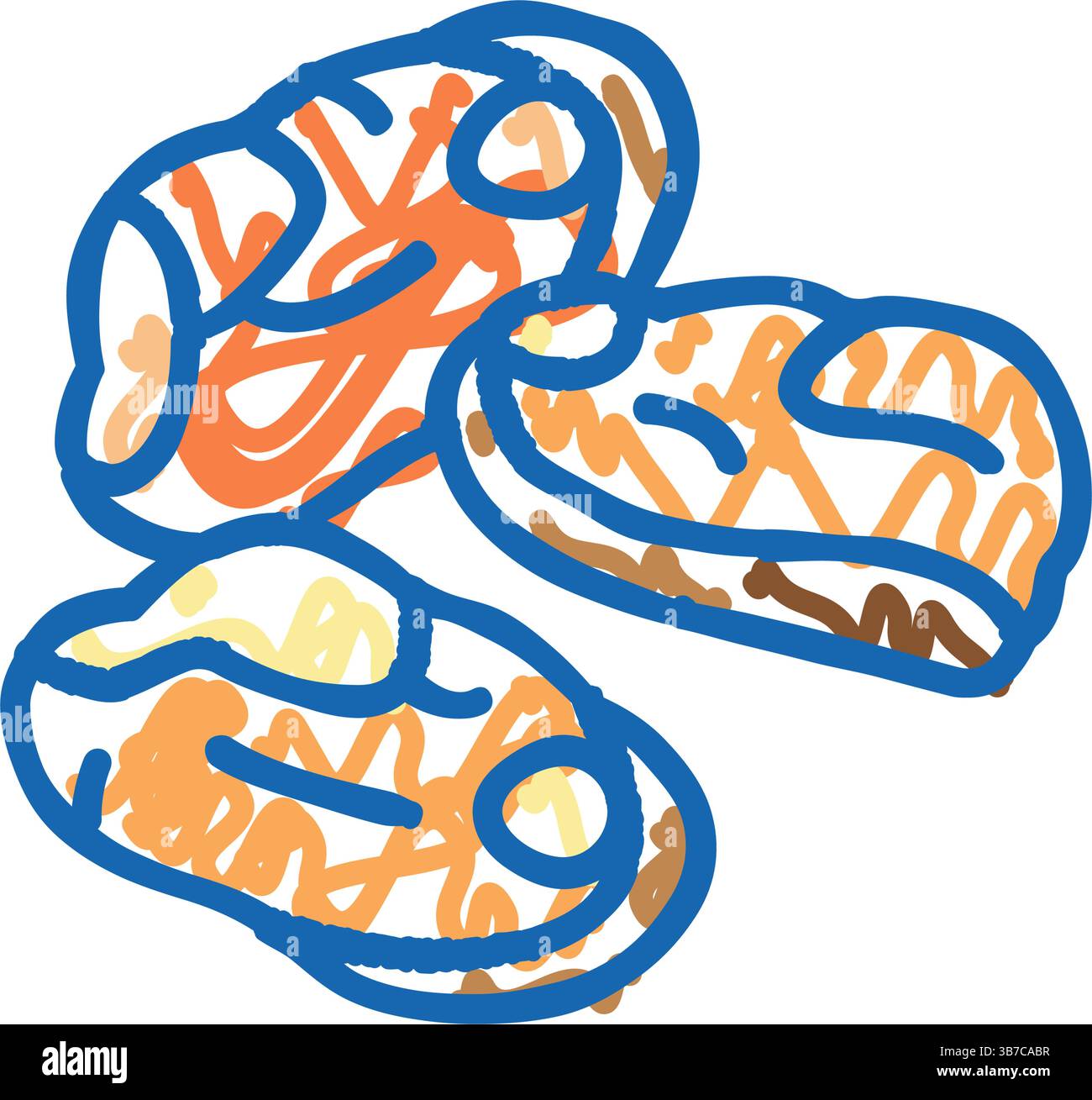 peeled mussel icon doodle illustration Stock Vector Image & Art - Alamy
