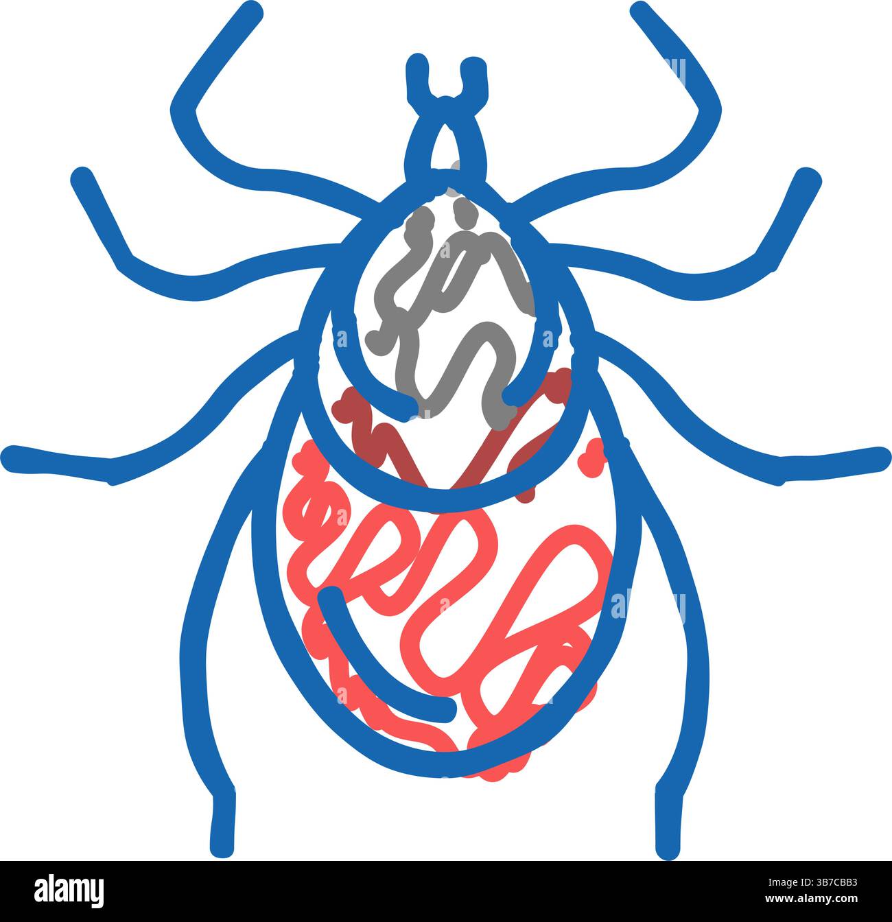tick insect icon doodle illustration Stock Vector Image & Art - Alamy