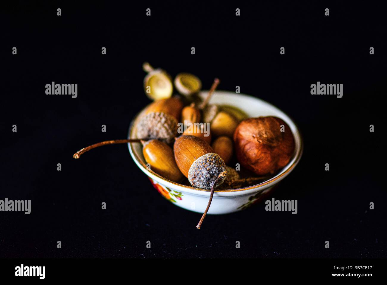 Autumn fruits acorns on hi-res stock photography and images - Alamy