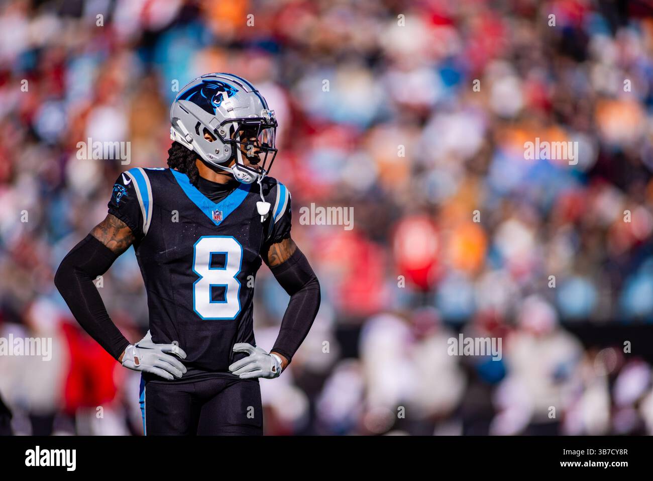 Jaycee horn panthers hi-res stock photography and images - Alamy