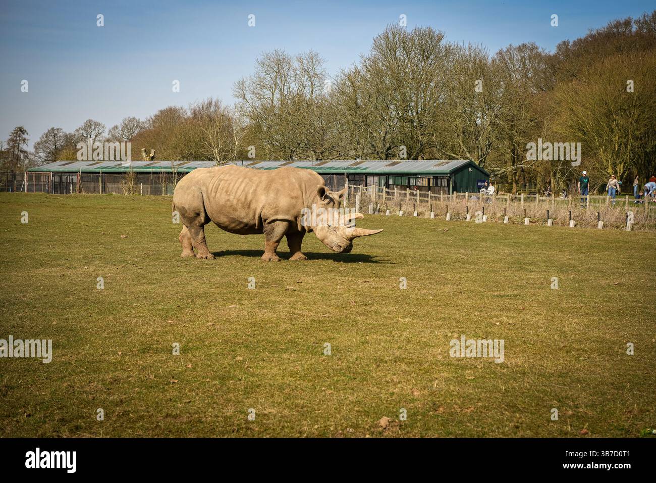 Large animal welfare hi-res stock photography and images - Alamy