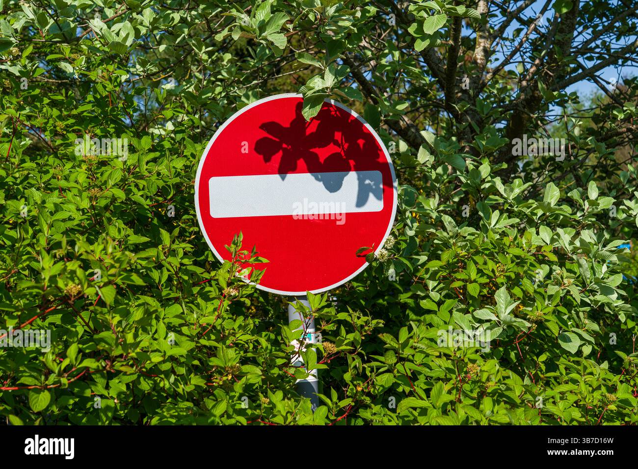 No entry signboard hi-res stock photography and images - Alamy