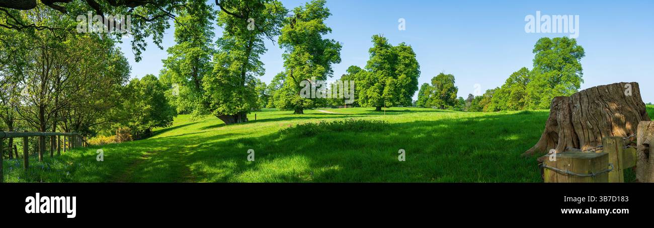 Panoramic image spring park hi-res stock photography and images - Alamy