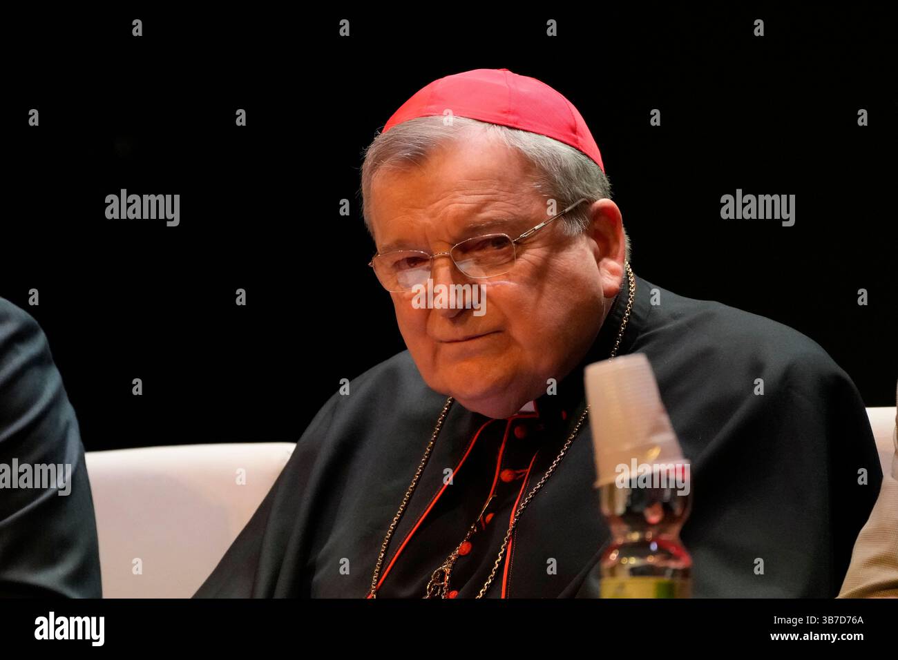 FILE - Cardinal Raymond Burke attends the conference "The synodal Babel ...