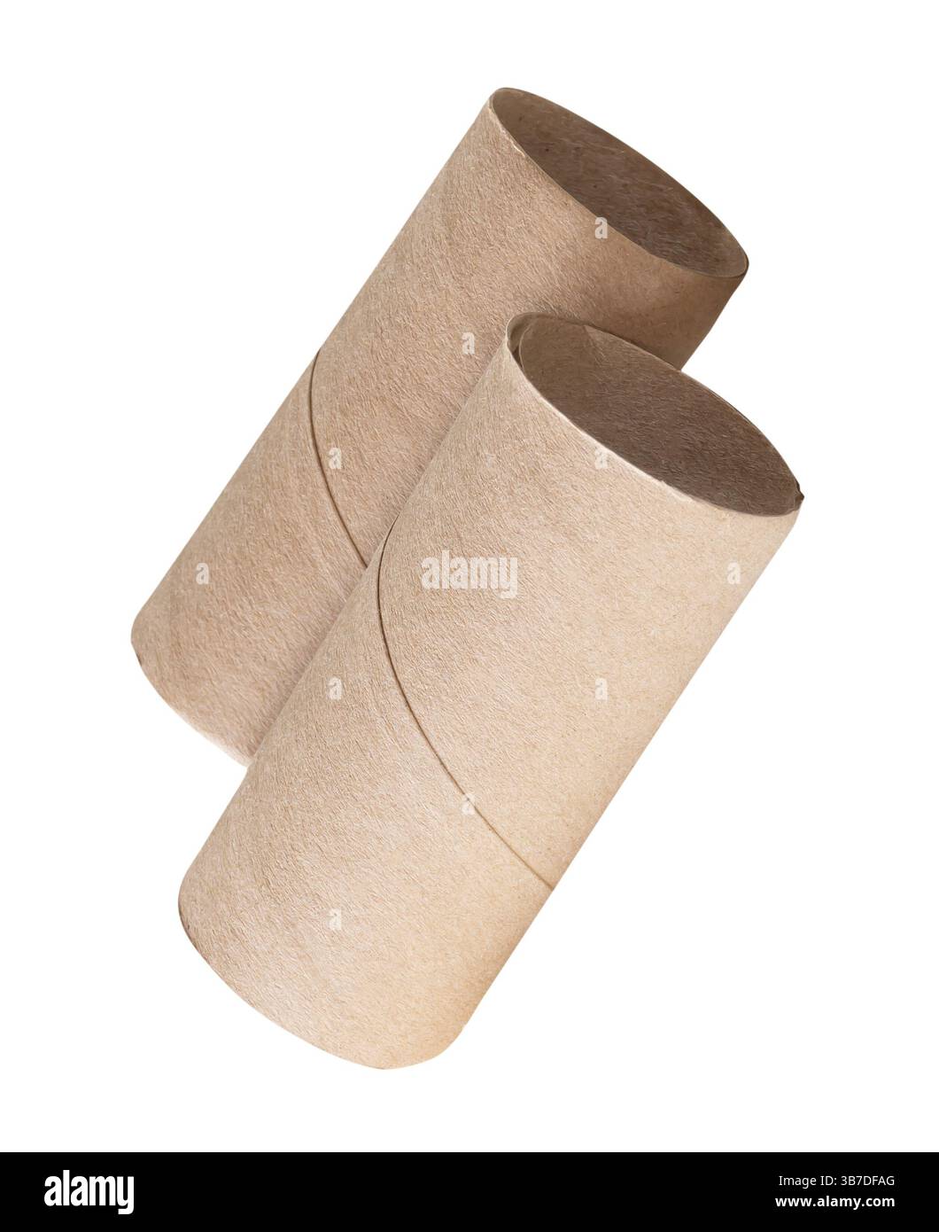 Side view of two tissue paper cores or toilet paper tubes after tissue ...