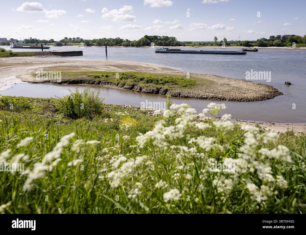SPIJK - Shipping on the Rhine. Low water levels on the Rhine are ...